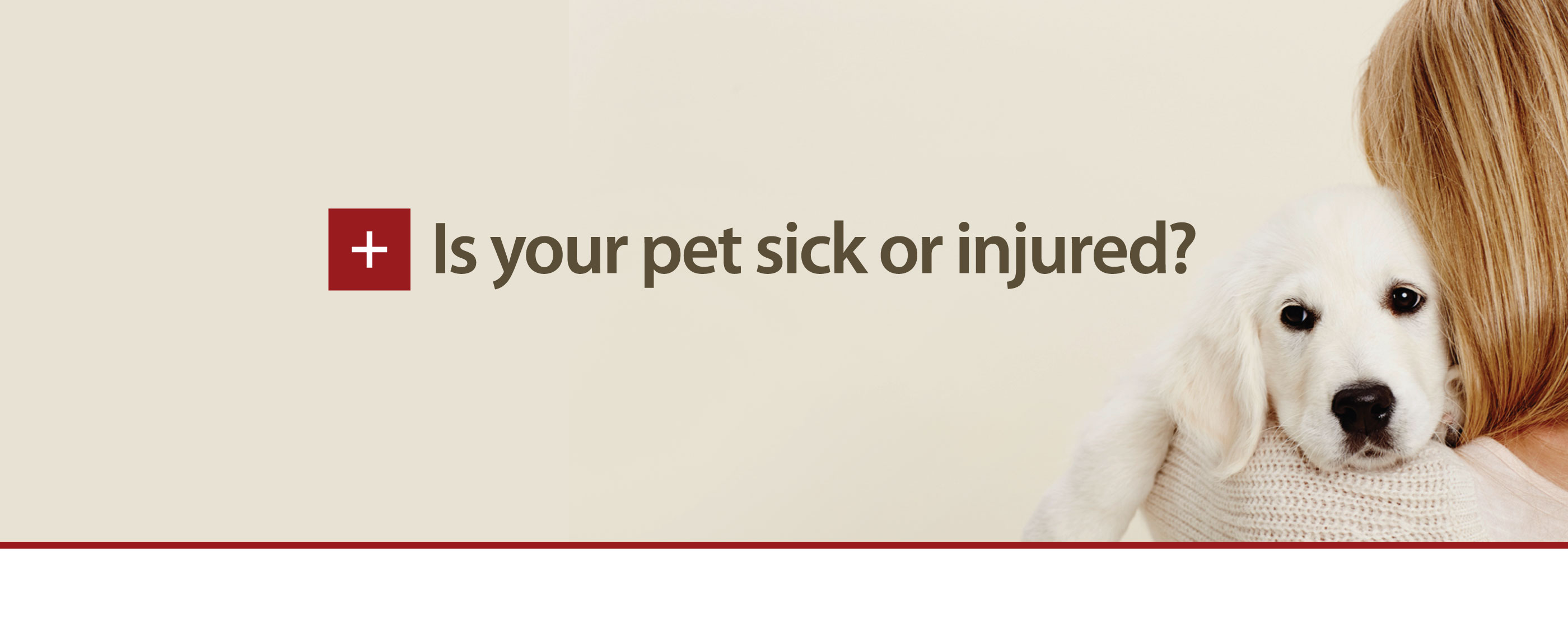 ACCESS 24HR Emergency Pet Services